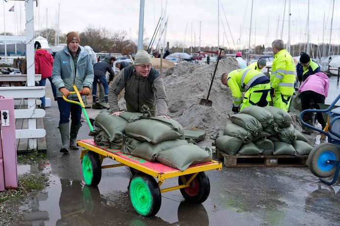 Storm Pia raast over het land: hinder op snelwegen door omgewaaide ...