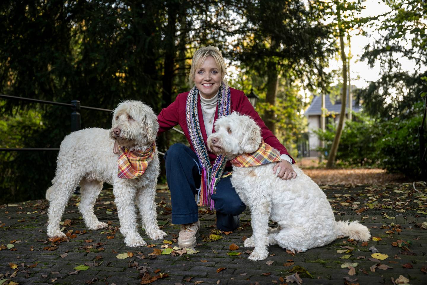 Boer zoekt vrouw - NPO 1 - zondag 09 maart 2025 - 20:25 - TV-Gids