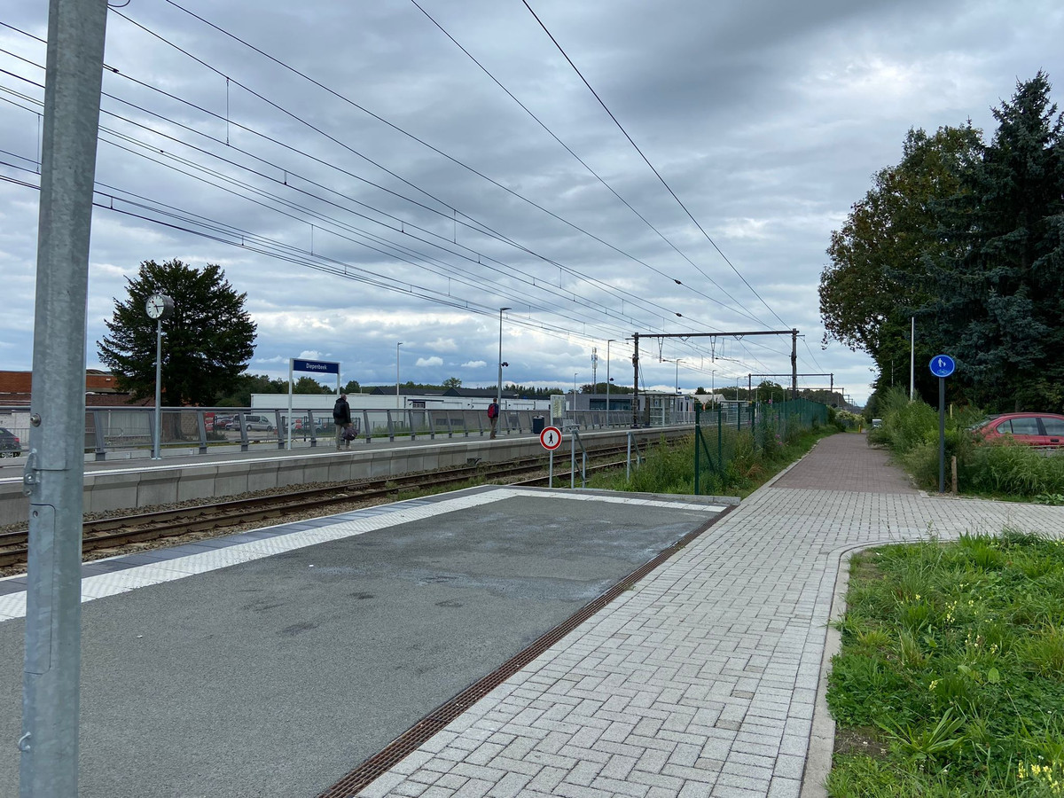 Fietser (76) steekt sporen over en wordt gegrepen door trein in ... Fietser (76) steekt sporen over en wordt gegrepen door trein in ...