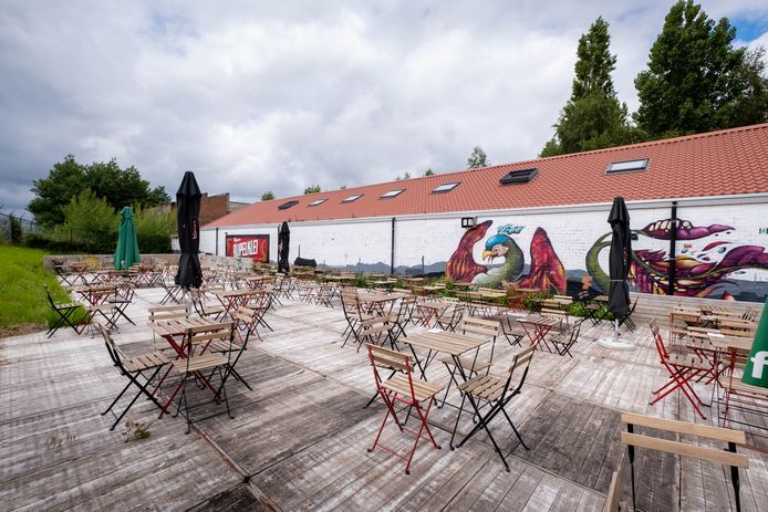 Zomercafé Rupel palmt tweede jaar op rij Rupeldijk in: “Gaan voor ...