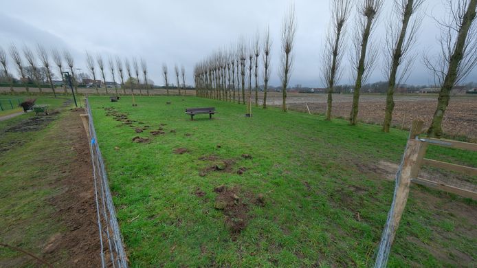 Eerste hondenloopzone in Anzegem | Anzegem | hln.be