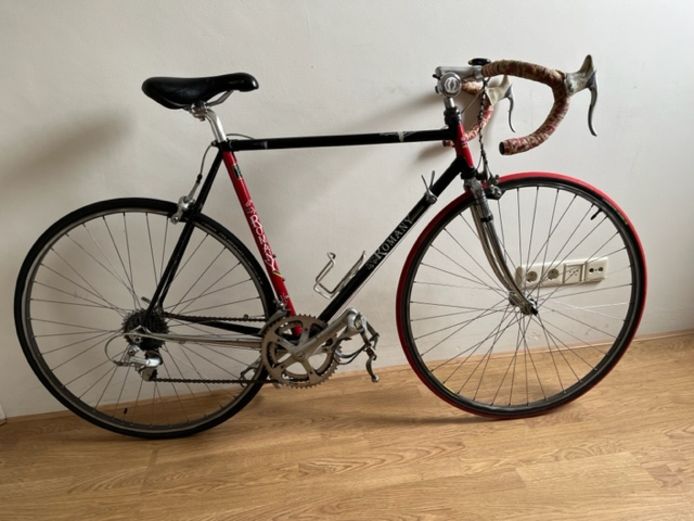 In vliegende vaart over de dijk met de racefiets | Bergen op Zoom | AD.nl