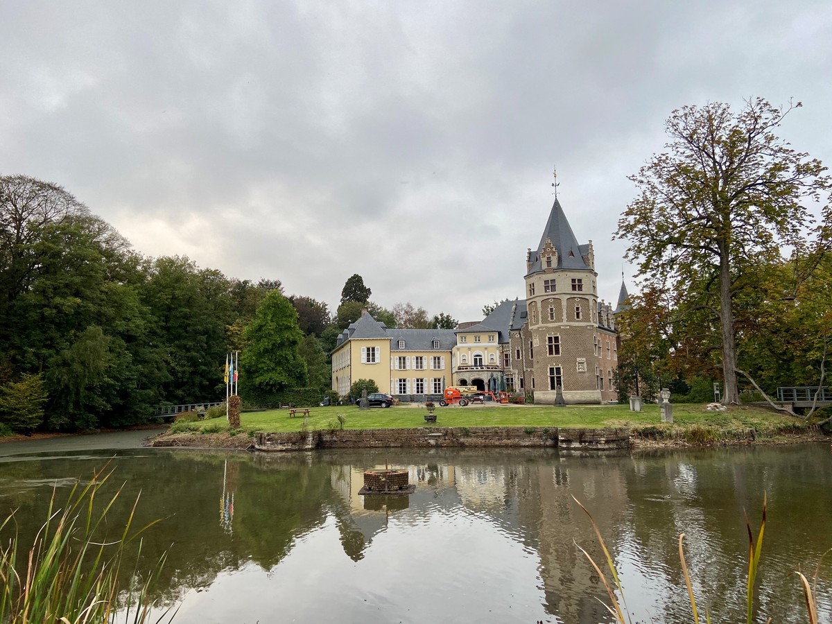 Kasteel De Renesse organiseert opnieuw boekenmarkt: van strips tot ...