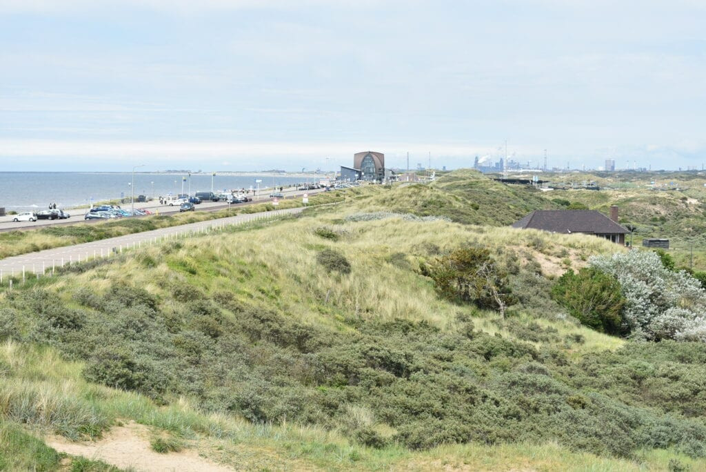 Lekker Uitwaaien Met Je Hond Op Het Strand Van Bloemendaal En Zandvoort