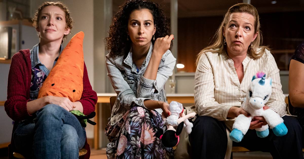 Maak kennis met de personages uit 'De Luizenmoeder' | TV | hln.be