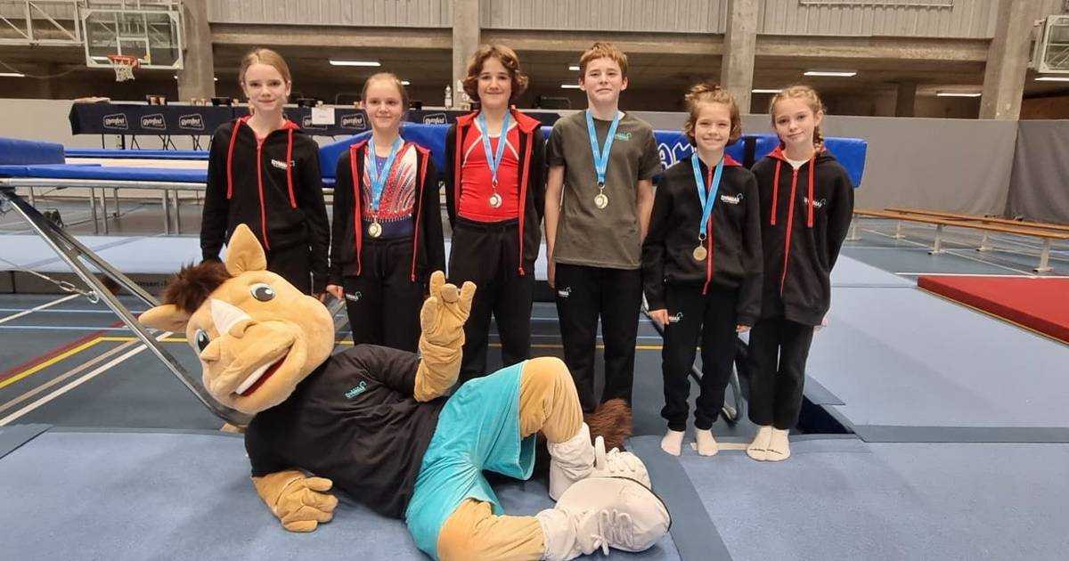 Leden GymMAX tonen zich tijdens Oost-Vlaams kampioenschap trampoline | Dendermonde | hln.be