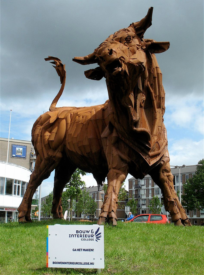 Raadsel: waar is de stier gebleven? | Foto | AD.nl