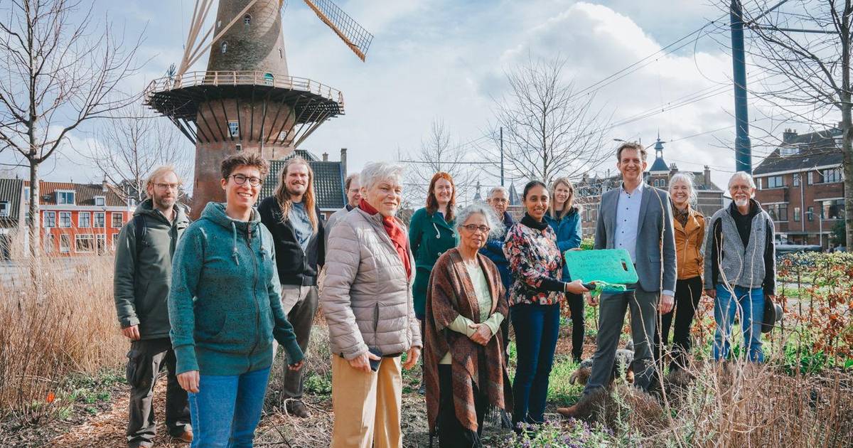 Groep bewoners wint met idee voor groene oase in hun buurt de ...