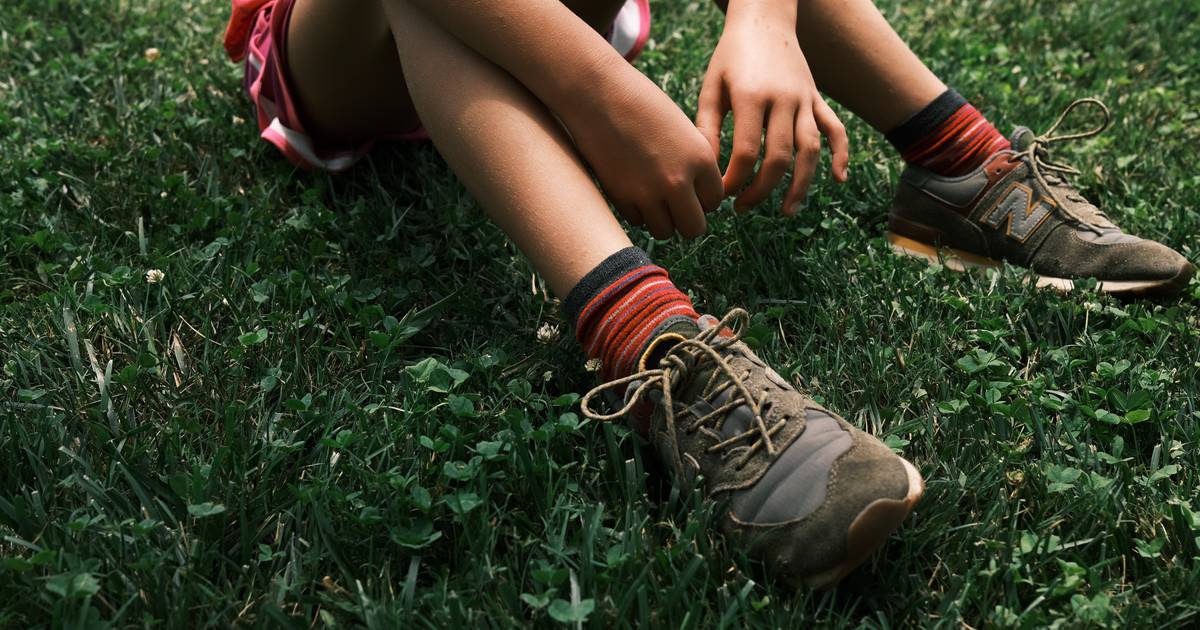 Van leren sorteren tot workshops in de natuur: Heusden-Zolder ...