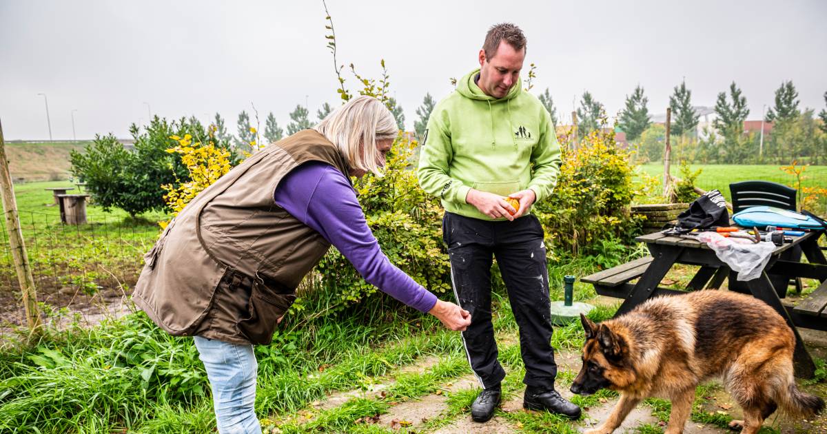 Ontruiming van dit hondenpark is begonnen (en daar is niet iedereen het ...
