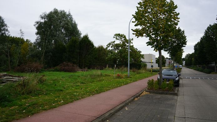 Gemeente verdedigt zich tegen kritiek op bomenkap voor bouwproject ...