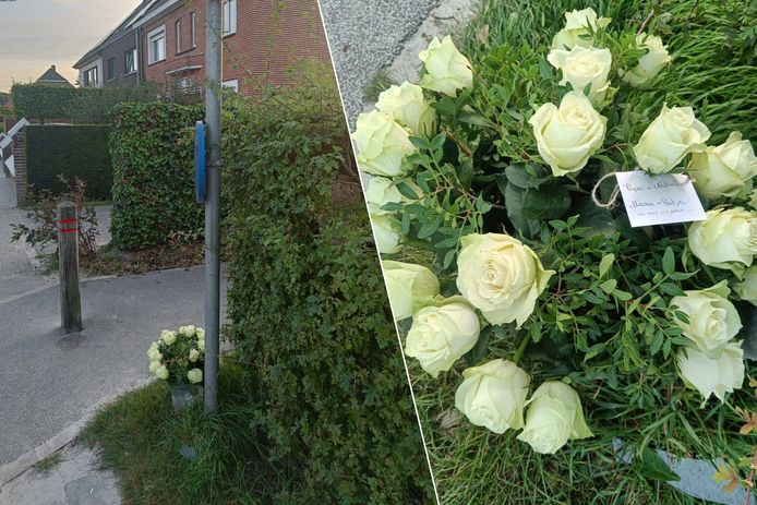 Schepen Mathieu Mas (37) reed onder invloed zoon van collega dood: “Hij ...