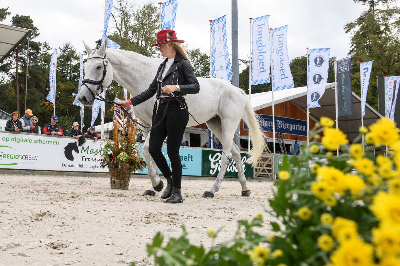 Laatste wedstrijd voor 19-jarige ruin Harry Belafonte: ‘Hij is als ...
