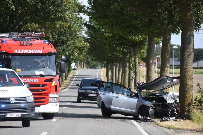 Agent kritiek na frontale klap met flitswagen tegen boom | Poperinge | hln.be