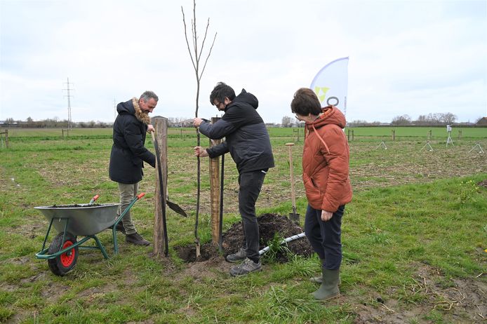 Inagro onderzoekt gecombineerde kweek van bomen en landbouwgewassen ...