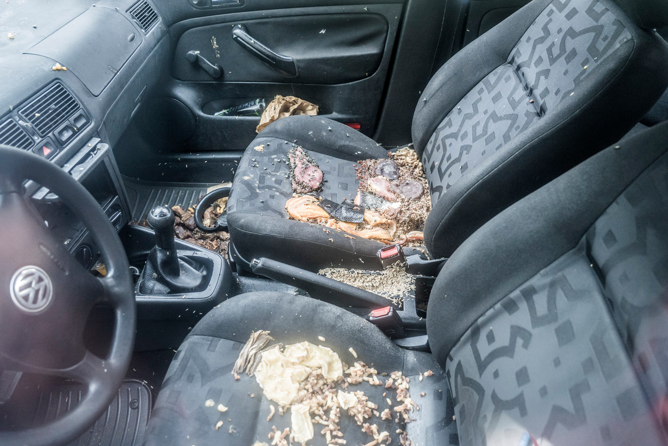 Auto vol rottend vlees en duizenden maden al weken fout geparkeerd in ...