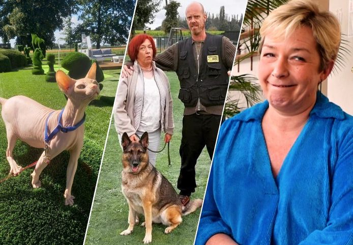 “De mannen vonden het wansmakelijk”: Isabelle Van Hecke over de ...