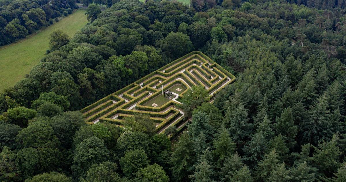Ruurlo heeft het grootste doolhof van Europa (en ondanks de droogte is ...