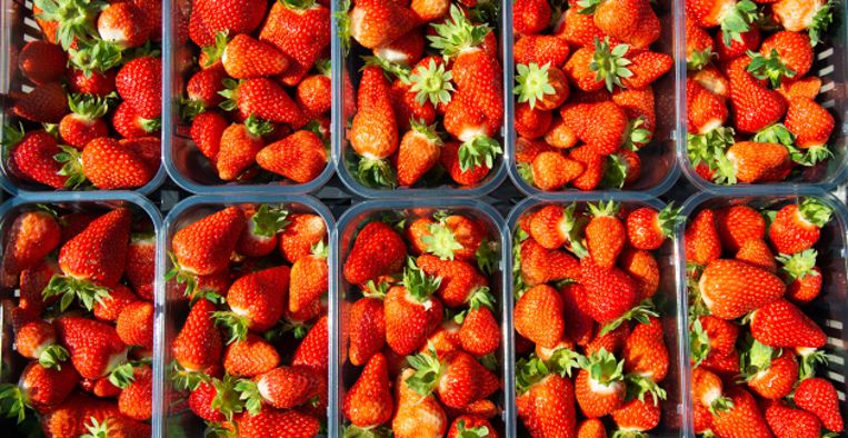 7 weetjes & tips waardoor we nóg meer trek in aardbeien krijgen
