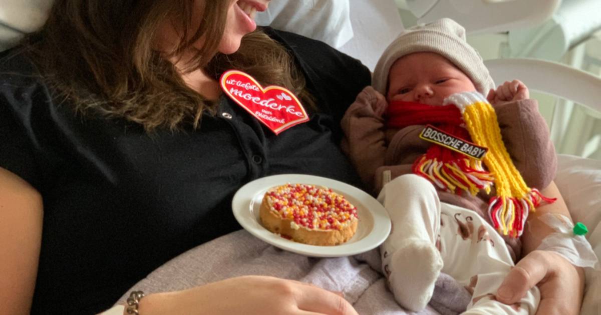 Beschuit met Oeteldonkse muisjes in rood, wit en geel voor ouders pasgeboren baby's in JBZ | Den ...