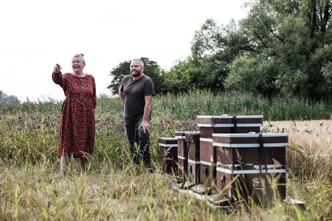 Geen megavarkensstal, maar zonnepark met voedselbos: ‘Kregen kruiwagens ...