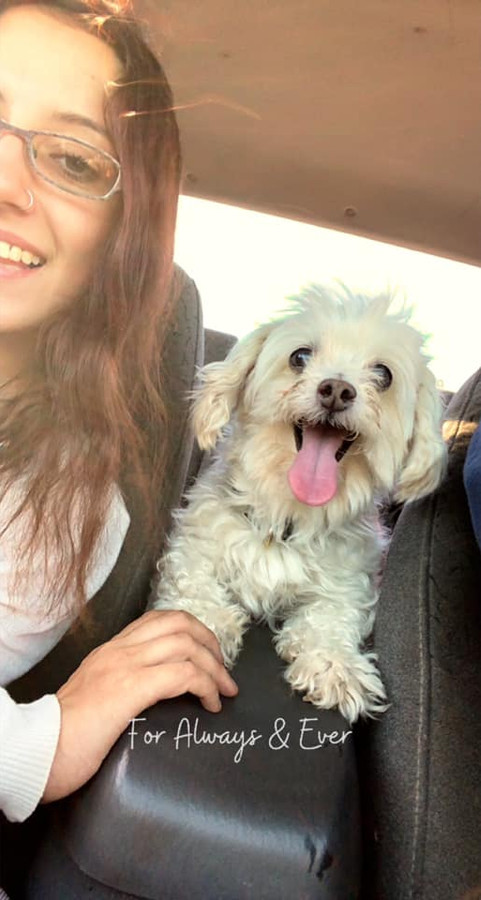 KIJK. Amy (26) moet tóch naar gevangenis nadat ze haar hondje van dak ...