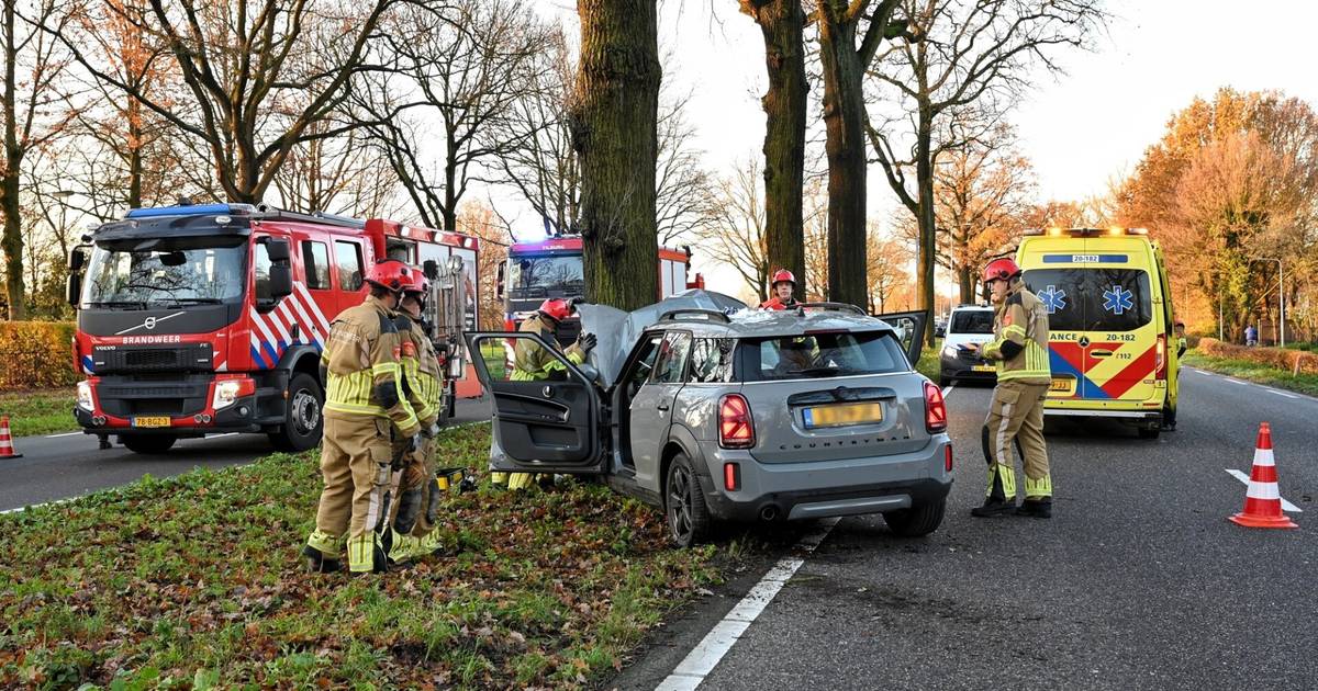 Auto botst tegen boom op N65 bij Oisterwijk, automobiliste met spoed naar ziekenhuis ...