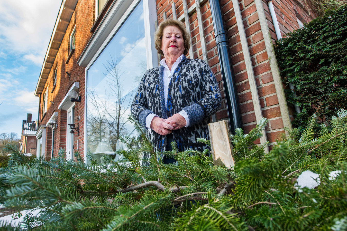 Dieven stelen Nuala's kerstboom op haar 79ste verjaardag: 'Super ...