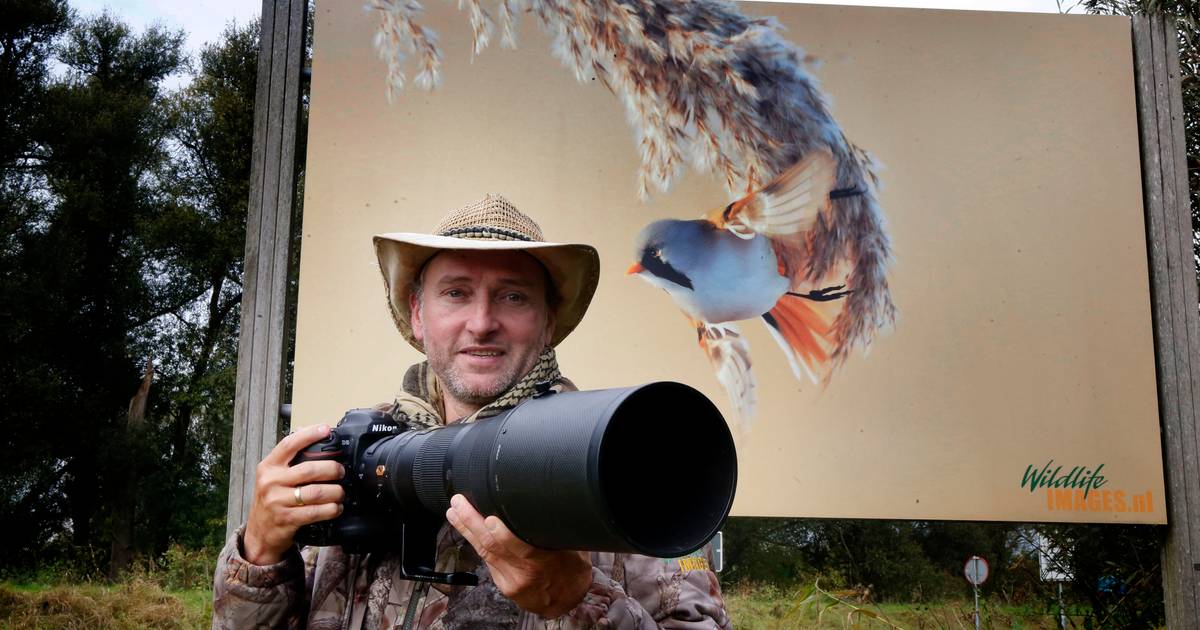 Natuurfotograaf Marco heeft veel over voor het perfecte plaatje: ‘Soms ...