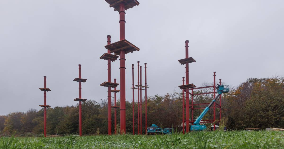 Capriolen op 12 meter hoogte: groot klimpark verrijst in Bosschenhoofd ...
