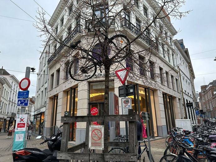 Letterlijk ‘de boom in’ met parkeerverbod voor fietsen aan de Kouter in ...