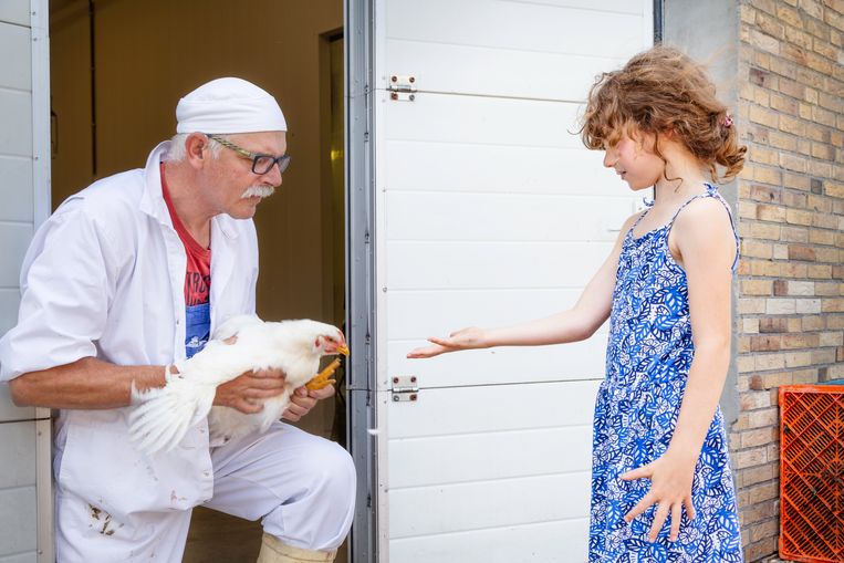 Zelf een kip grootbrengen en daarna slachten en opeten – de familie ...