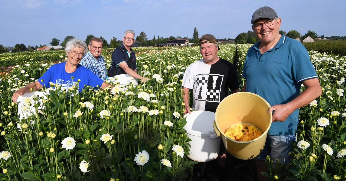 Poteind brengt een ware sneeuwstorm naar het corso, en daar zijn vooral ...