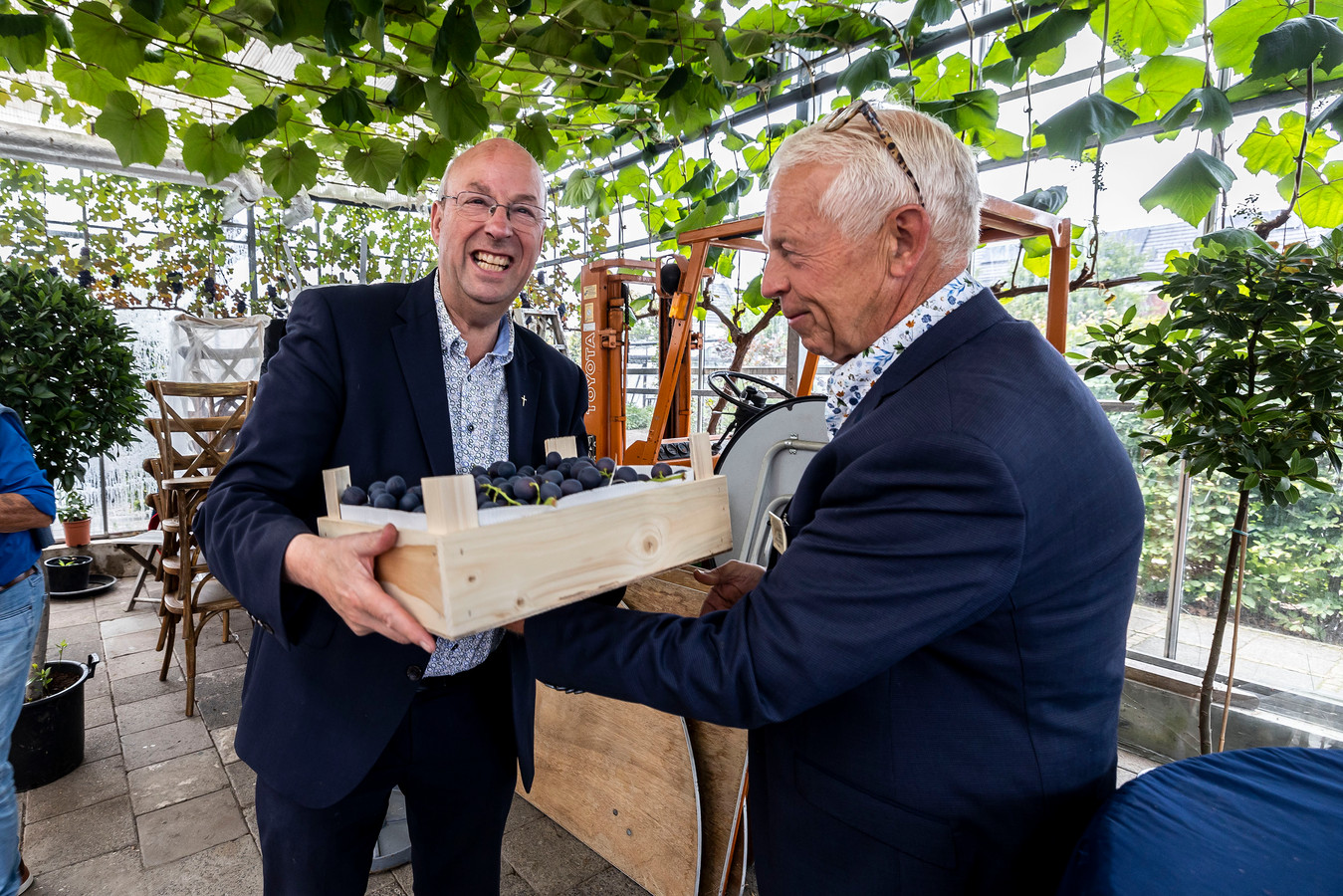Pastoor Steenvoorden krijgt eerste kistje Westlandse druiven voor ...
