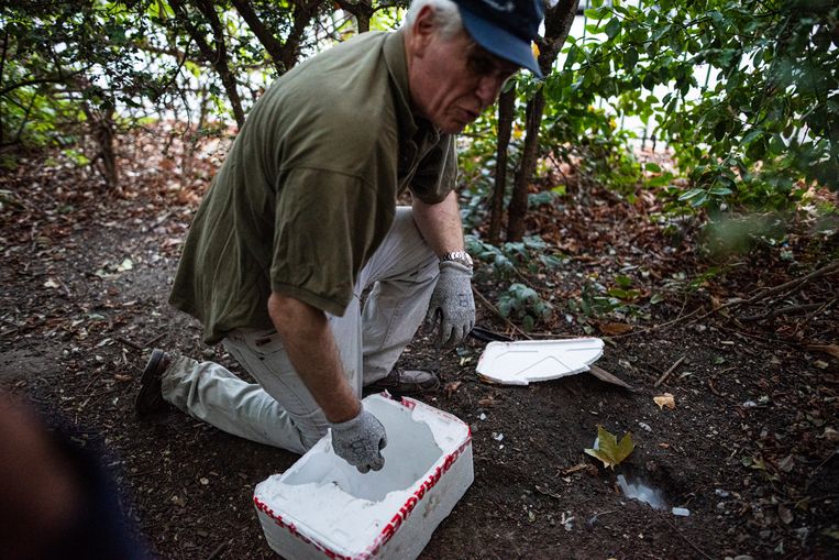 Parijse burgers jagen op ‘gestigmatiseerde’ bruine rat | Trouw