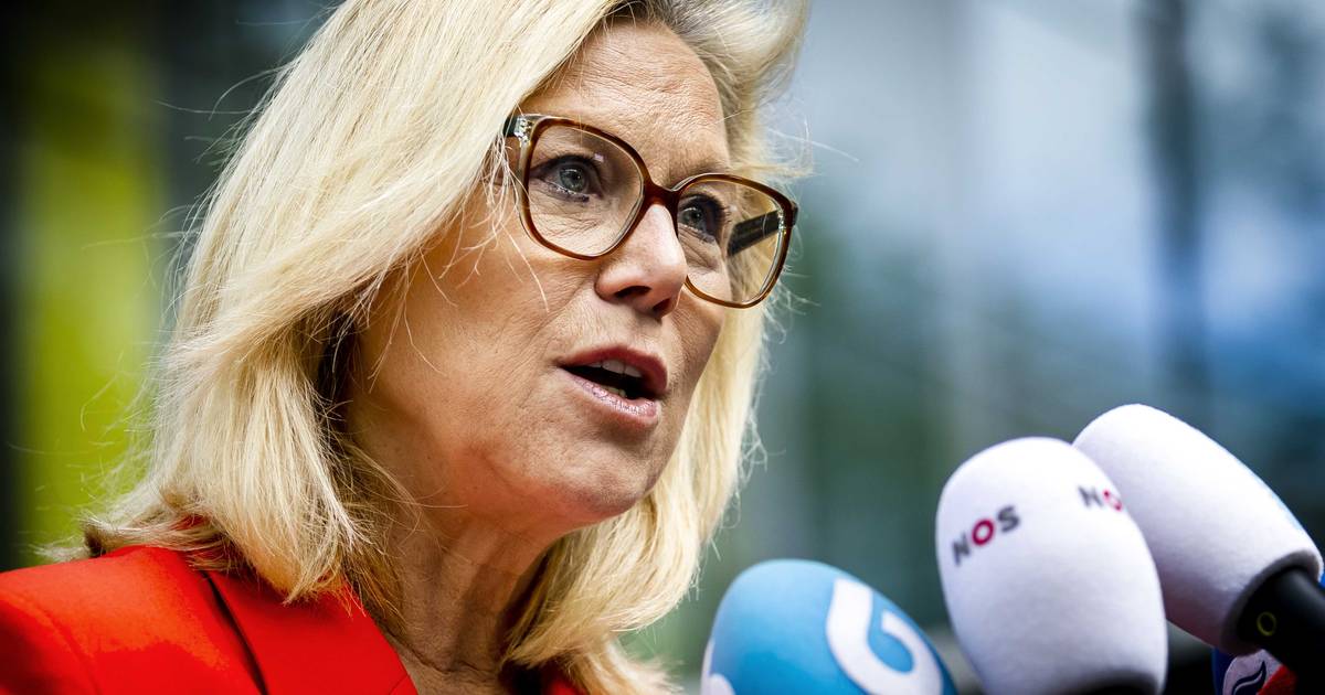 Kaag dacht al langer over stoppen als D66-leider: ‘Het was echt een ...