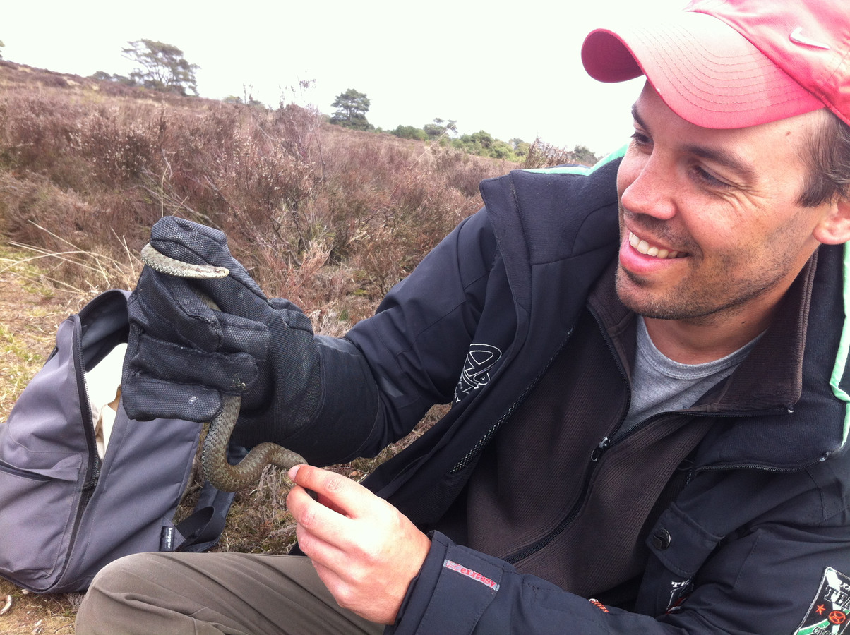 Mysterie op Veluwe drijft onderzoekers tot wanhoop: waar is de gladde ...