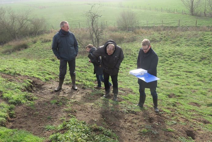 Historische Singelberg bedreigd door konijnen: groen licht voor ...