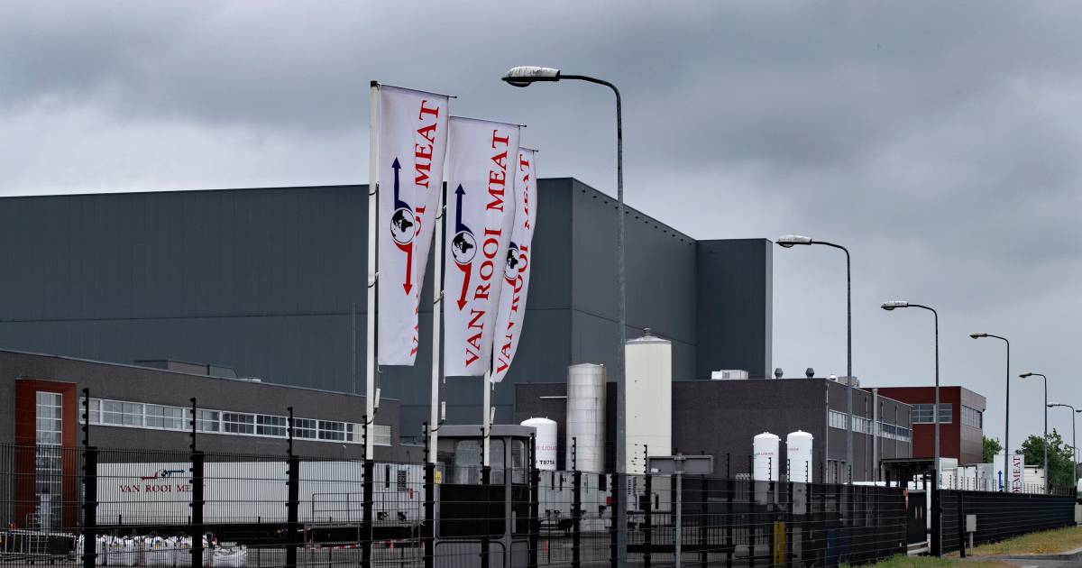 Van Rooi Meat in Helmond test personeel even elke dag; paar ...