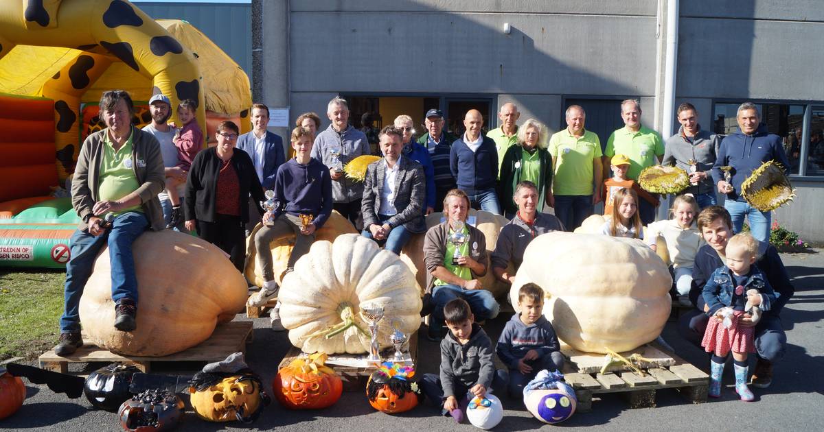 Pompoen van Stefaan klokt af op 432 kilo | Pittem | hln.be