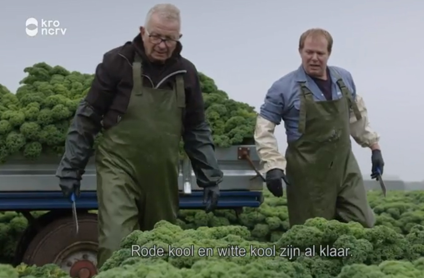 Boer Geert en Theo, daar zit een docusoap in | Foto | AD.nl