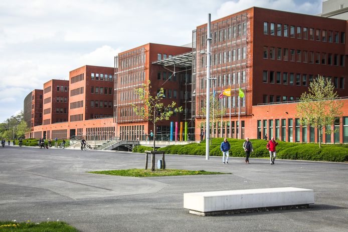 Het Brugge van streetartiest Jamz Jamezon (49): “Als je hier in de ...