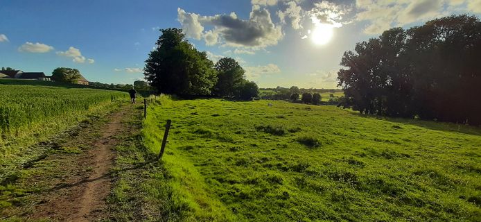Culturele wandeling met toonmomenten in Parike bij Kunstacademie ...