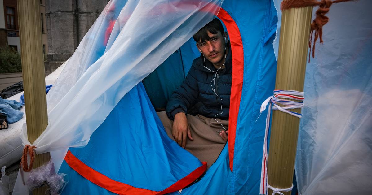 Brusselse regering voorziet 100 nieuwe opvangplaatsen voor niet ...