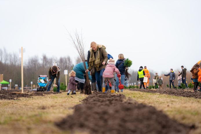 Eeklo heeft er de voorbije jaren al 6.000 bomen bij, en er volgt nog ...