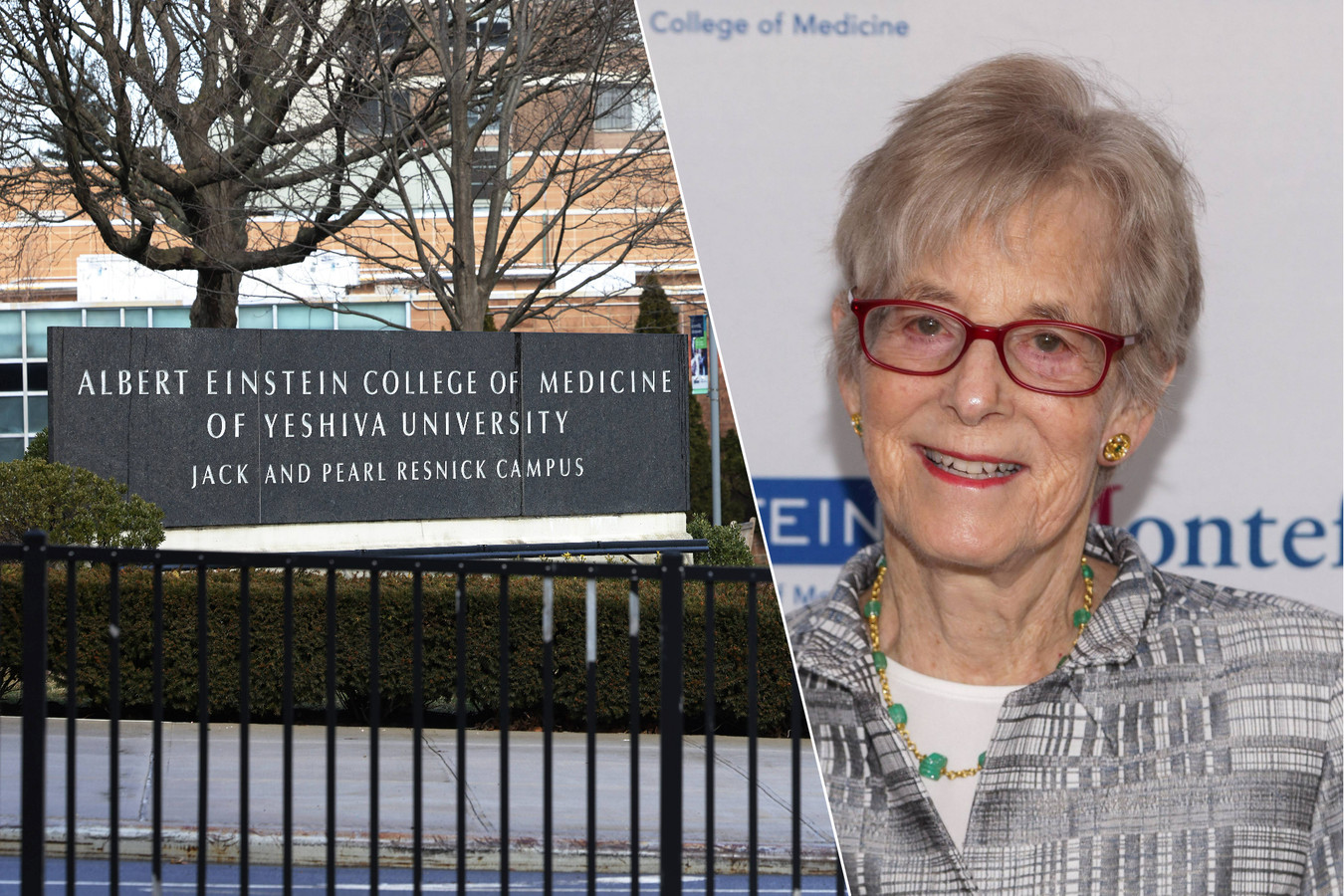 Universiteit in New York laat studenten gratis studeren dankzij ...