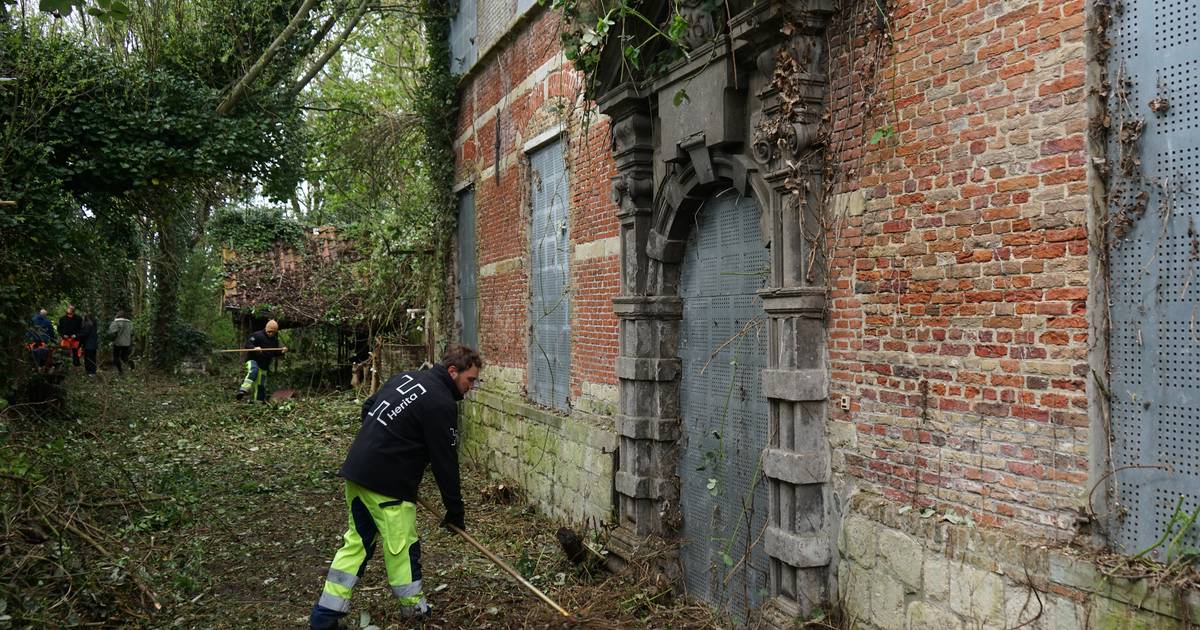 Restauratie Hooghuis in Doel start deze zomer: “Eerst stabiliteit in ...
