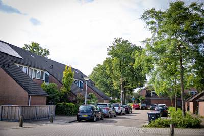 Nieuw dieptepunt in Almelose burenruzie: na roddels en schelden zorgen ...