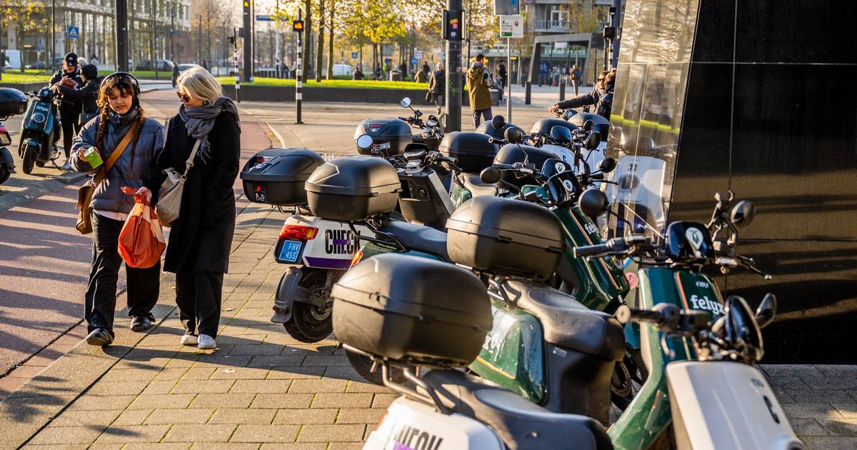 Deelvervoer in Rotterdam onder vergrootglas: nieuwe regels voor Felyx ...
