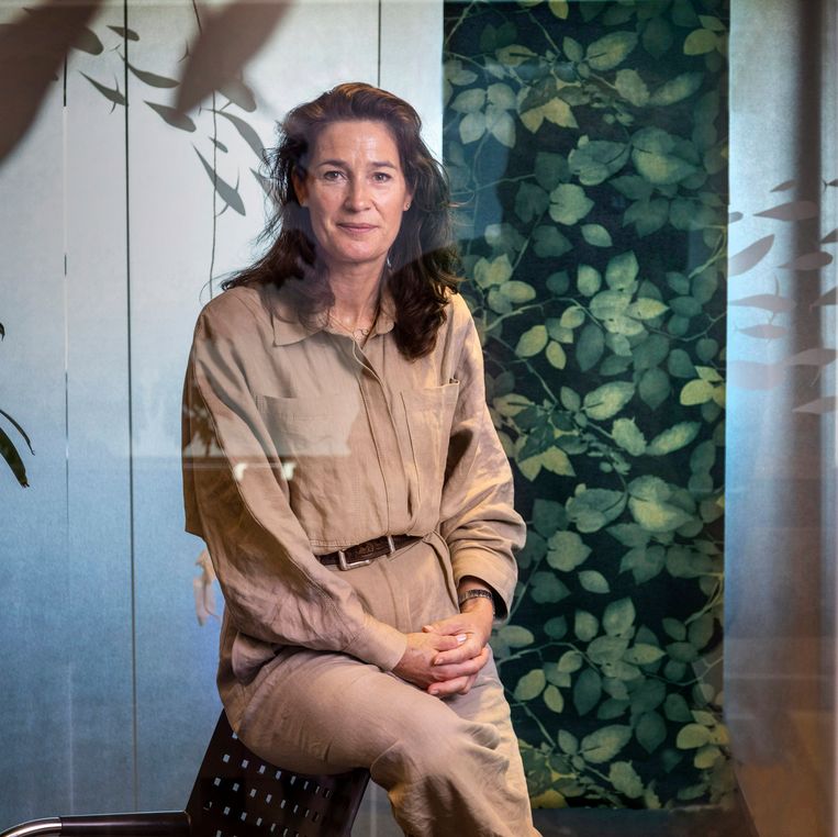 De groene baan lonkt, en deze mensen gooiden het roer om | Trouw
